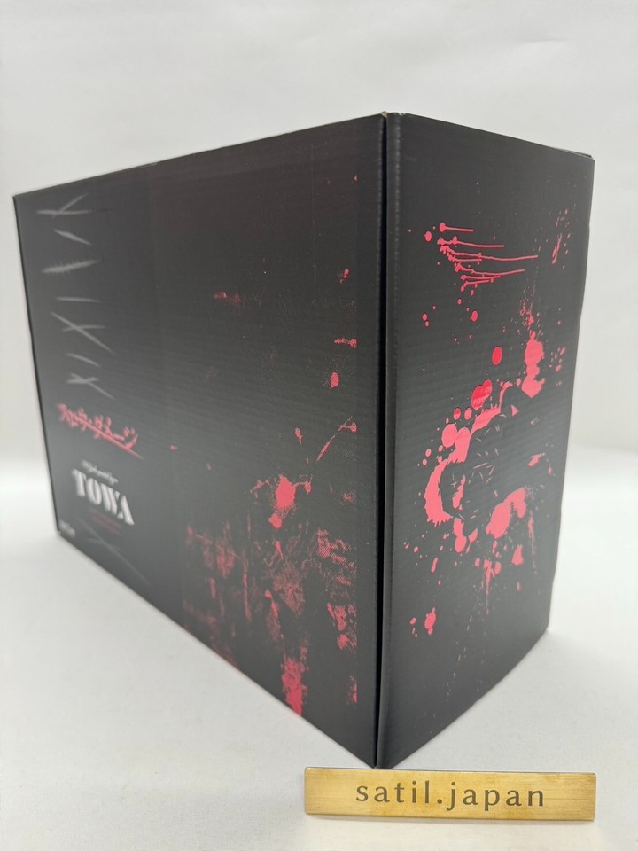 [NEW] Native Slow Damage Towa 1/6 PVC ABS scale Figure 210mm | eBay