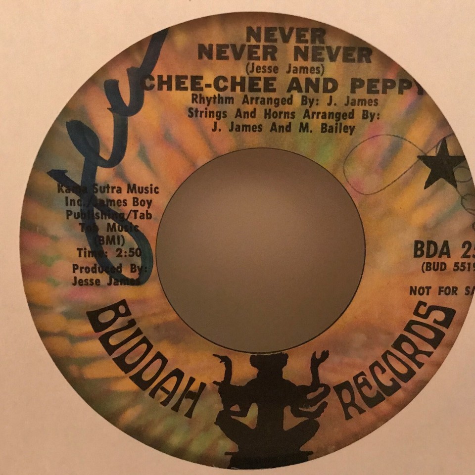 CHEE CHEE AND PEPPY 45 SINGLE , NEVER NEVER NEVER / LOVING YOU REALLY ...