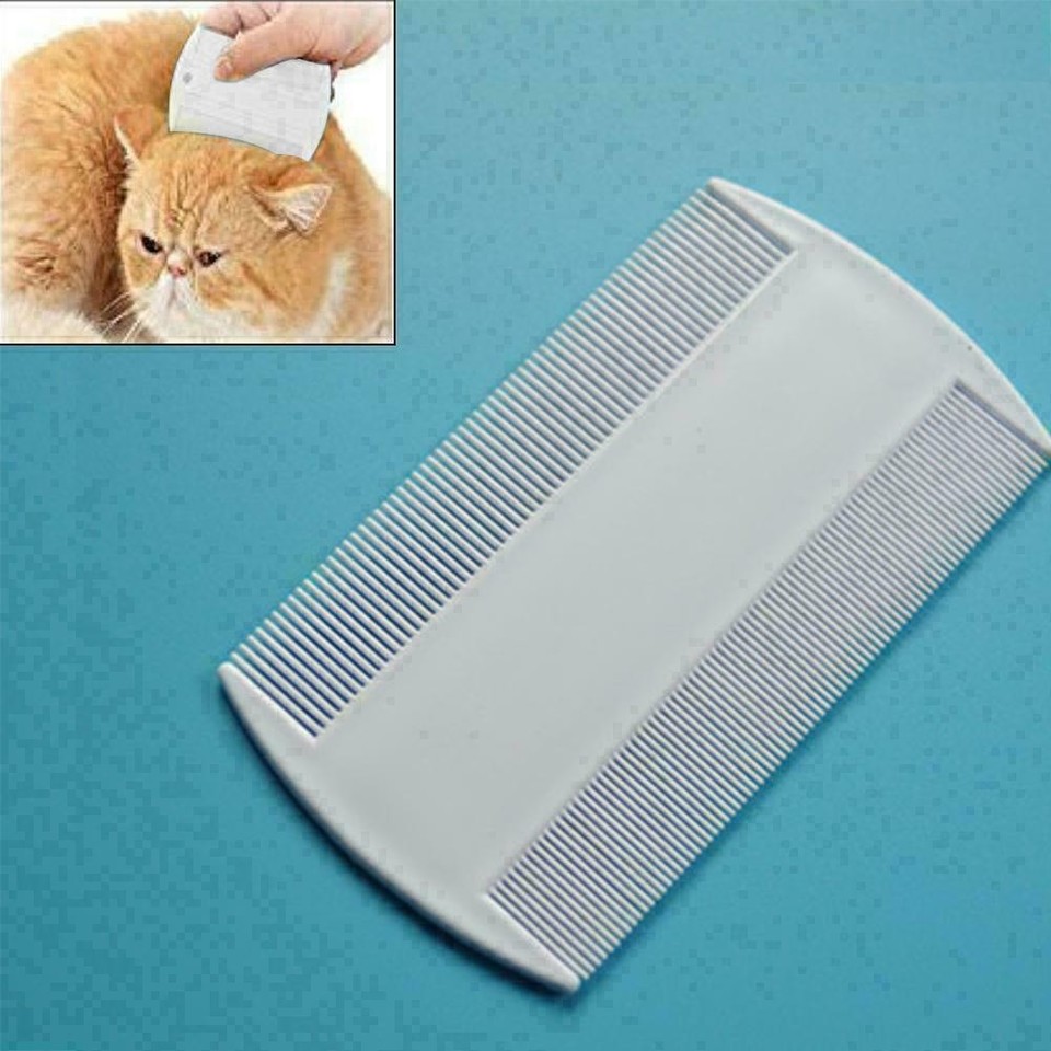 Double Sided Nit Comb Fine Tooth Head Lice Hair F B9 Nice Best A3L2 ...
