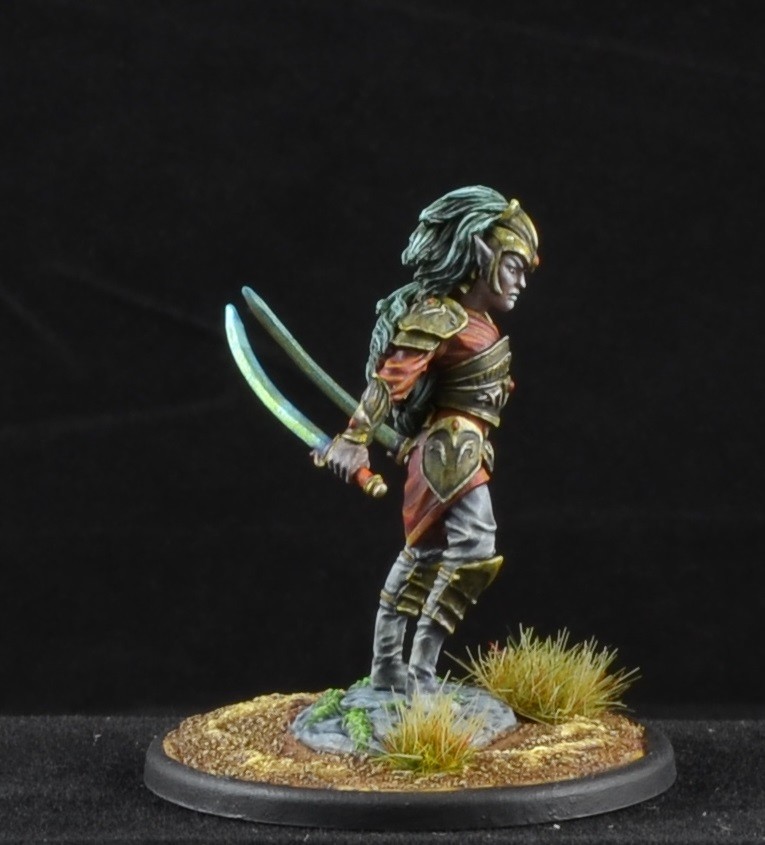 Painted Male Elven Dual Wield Warrior from Dark Sword Miniatures elf D ...