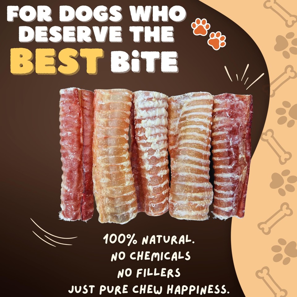 Beef Trachea - 3-4 Inch - 50 Pack - Trachea Treats for Dogs - Natural ...