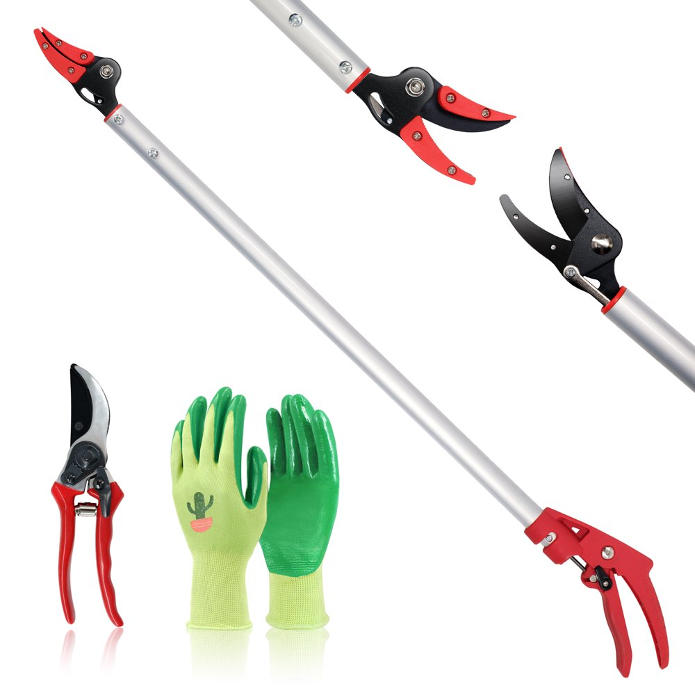32" Long Tree Reach Pruner or Fruit Picker and Bypass Pruner, Pruning ...