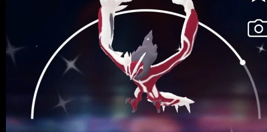 Pokemon Yveltal Shiny