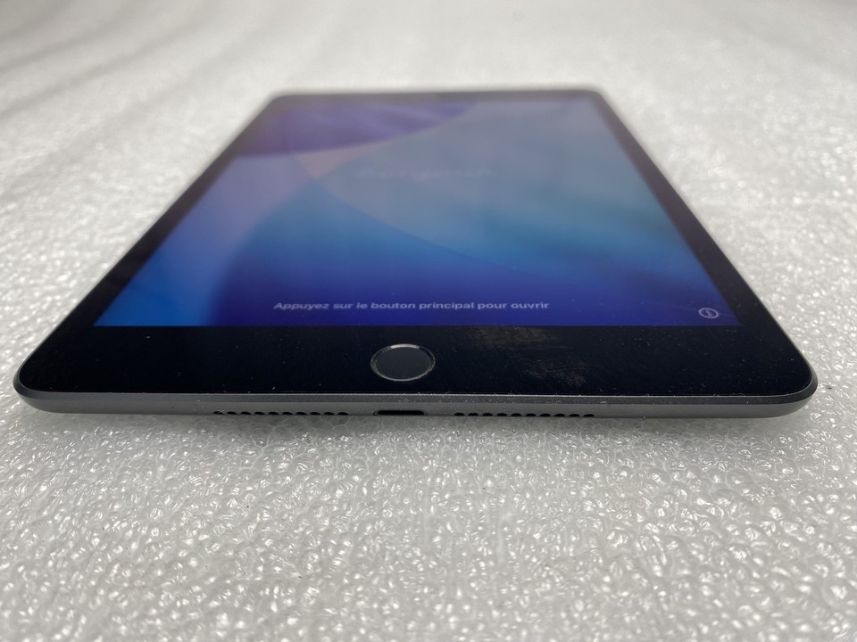 Apple iPad mini (5th Gen) (A2126) WiFi + Cellular Space Gray 256GB | eBay