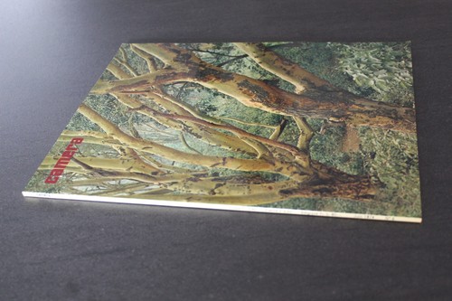 (43A) CAMERA Magazine Juin 1974 Beaton Porter Karsh Duncan | eBay