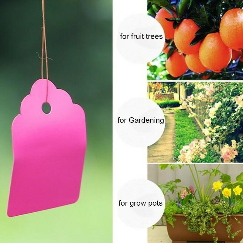 100pcs Plant Garden Pot Plastic Reusable Name Tags Tag Label for Flower ...