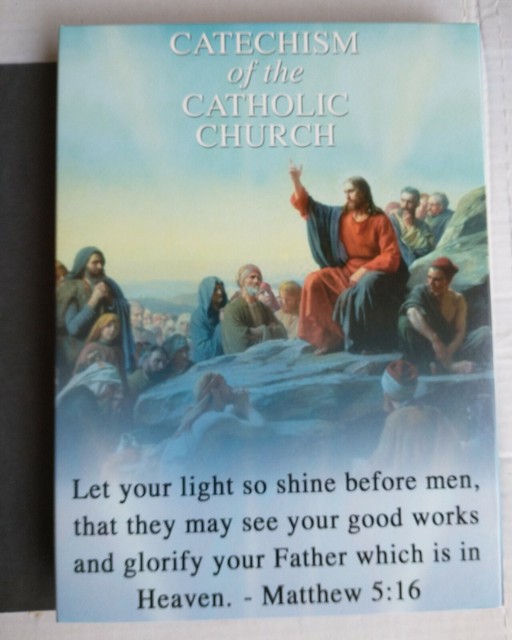 Father John Corapi Solt Thunder 'n Lightning Book 1 Audio CD 2006 18 CD ...