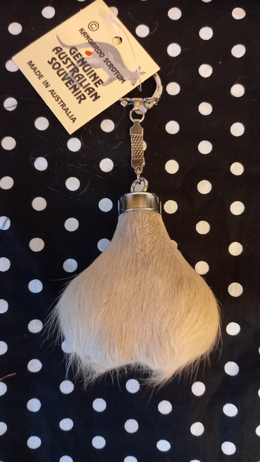 Genuine Australia Kangaroo scrotum Key Ring NEW Novelty gift idea ...