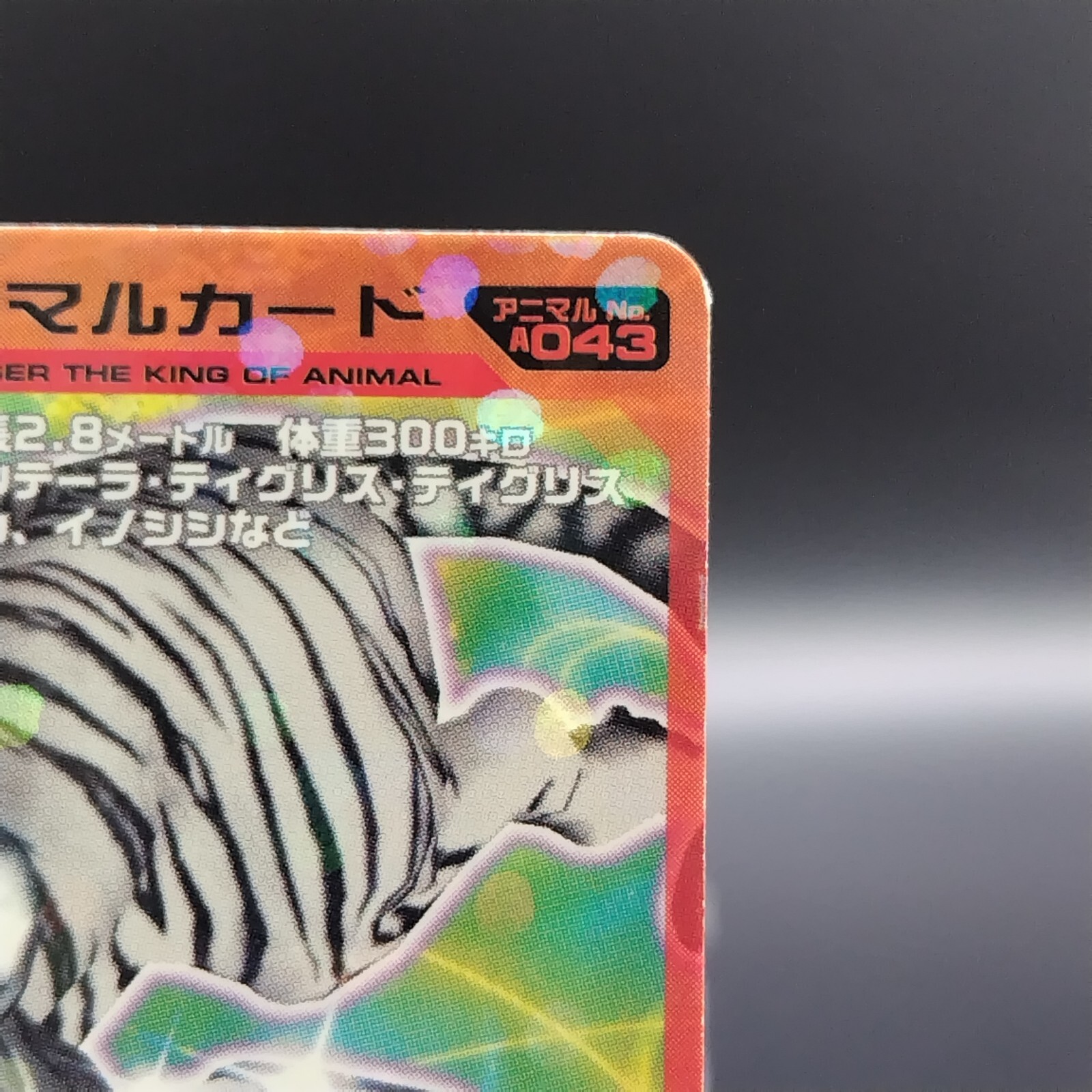 Panthera tigris tigris Animal kaiser Holo Card Japanese 2008 BANDAI ...