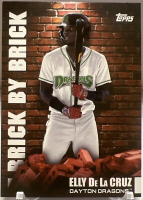 Elly De La Cruz 2022 Topps Pro Debut Brick by Brick Insert Rookie Card ...