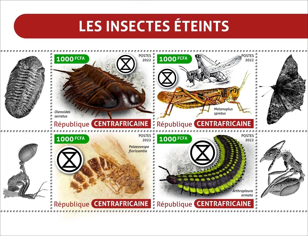 Insects That Are Extinct