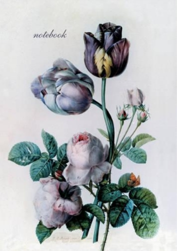Peony Press Notebook: Redoute (Tulip) (Hardback) (US IMPORT ...