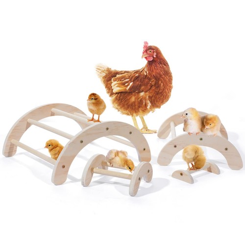 Chick Perch for Coop Brooder: Dorakitten 4Pcs Chicken Perch Stand ...
