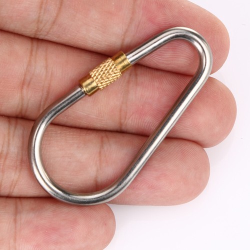 fr D Shape Titanium Alloy Screw Lock Carabiner Clip Hook Keychain ...