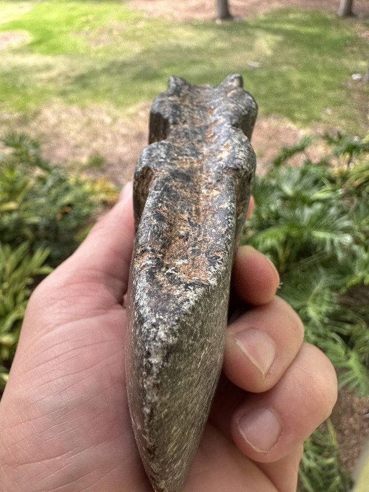 Native American Illinois Axe Head Artifact Grooved Fluted Hardstone | eBay