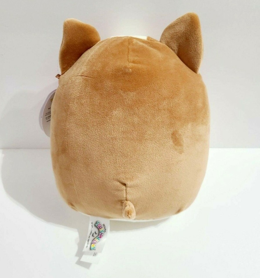 Squishmallow Regina The Corgi Brown 8 Inch Kellytoy Soft Plush ...