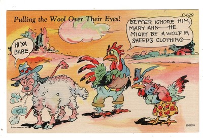 Pulling the Wool Over Their Eyes Rooster Vintage Postcard | eBay