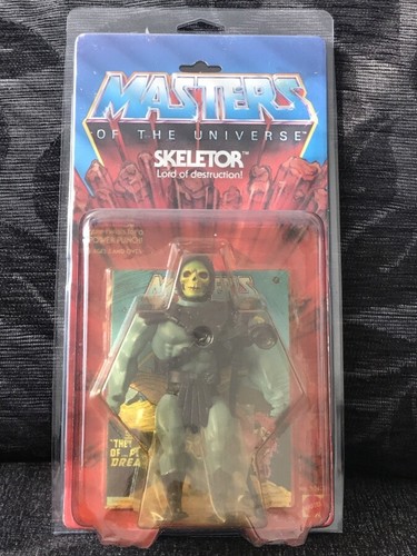 MOTU masters of universe 12 back SKELETOR | eBay