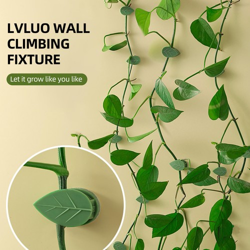 Invisible Wall Vines Fixture Sticky Hook Fixing Clip Climbing Plants ...