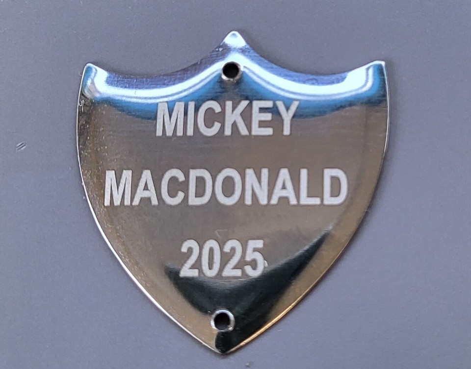 30x32mm Trophy Side-Shield, Silver Aluminium Free-Engraving Annual ...