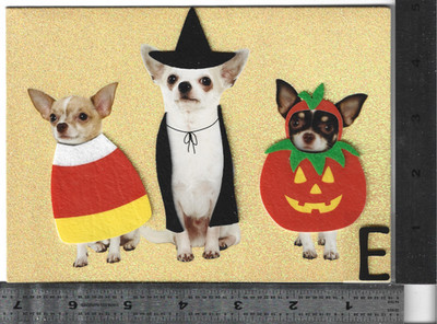 (4) 1 single PAPYRUS & Hallmark embellished FALL Card | eBay