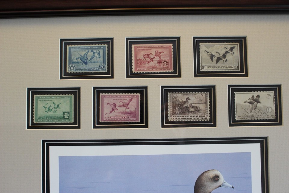 US Federal Duck Stamp framed set RW 1 through RW 15 with artist signed ...
