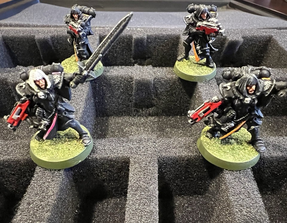 Games Workshop Citadel Figure Case w/ 10 Finecast Metal Sisters of ...