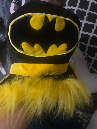 Batman Tall Fuzzy Hat From Six Flags. Really Cool. Ready For Halloween ...