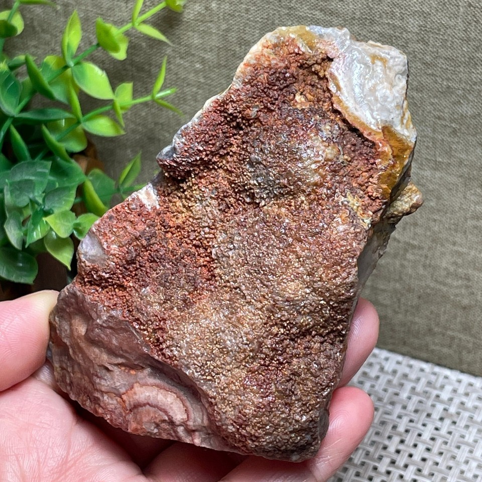 Rare Mexican Crazy Lace stone Raw rough rock original Specimen Mexico ...