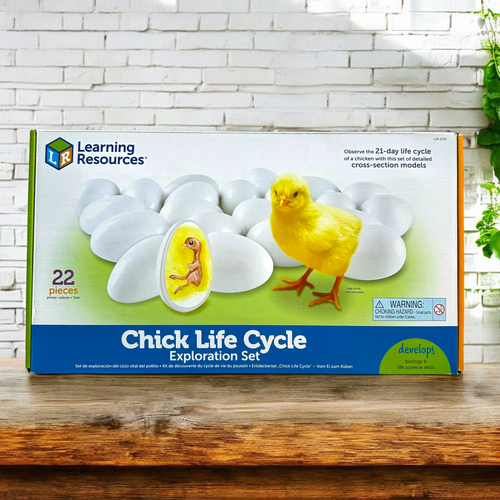 Learning Resources CHICK LIFE CYCLE Exploration Set Educational Chicken ...