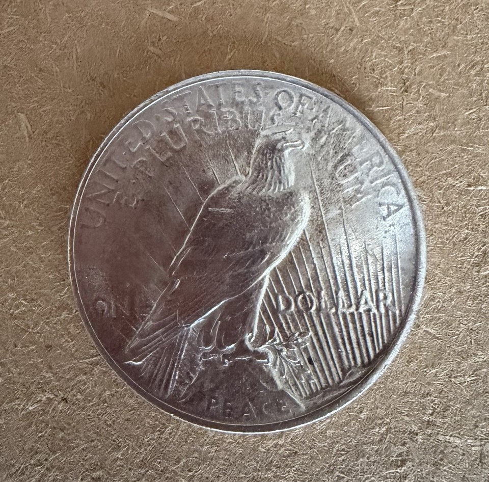 1923 Peace Liberty Silver Dollar Coin | eBay UK