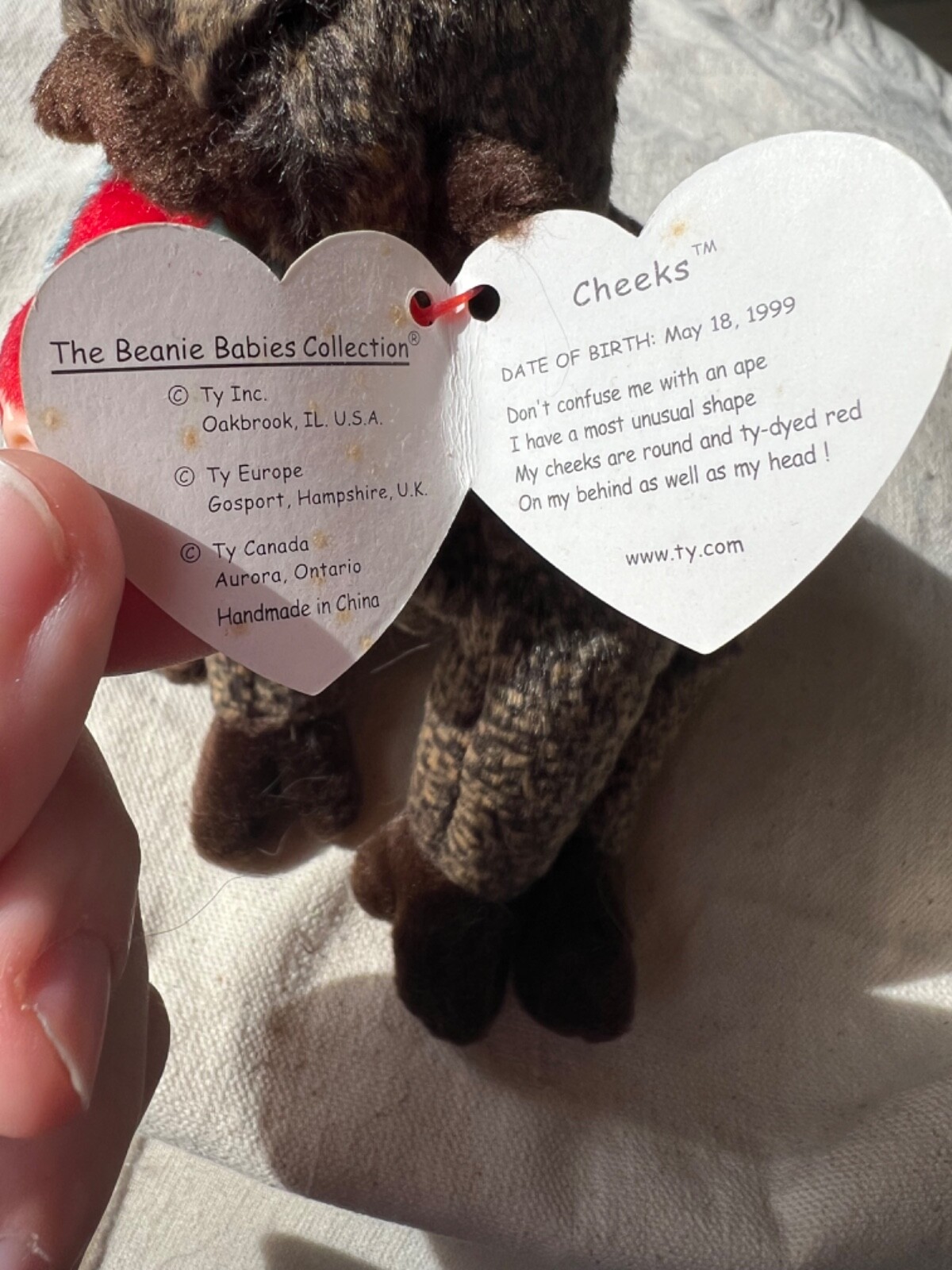 1999 “Cheeks” Limited Edition Ty Beanie Baby RARE TAG ERROR Mint for ...