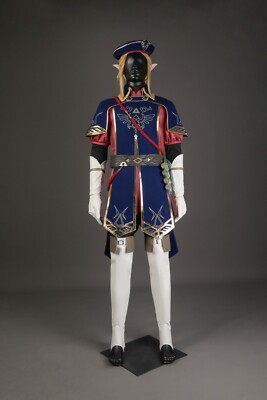 New The Legend Of Zelda: Tears Of The Kingdom Link Royal Guard Uniform ...