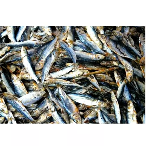 Sun Dried Keeramin Dry Fish Salted Sea Food Tasty Sri Lankan Best ...