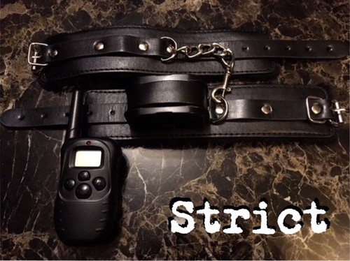 Handcuffs Electro Cuffs Bondage kit Ankle cuff restraints Master series ...