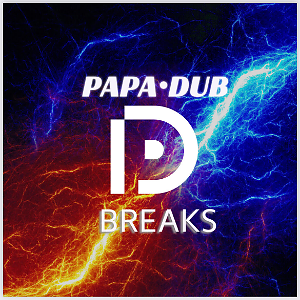 Papa Dub Breaks | eBay Stores