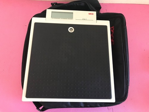 Seca 876 Mobile Precision Medical Flat Floor scale 1321009 with ...