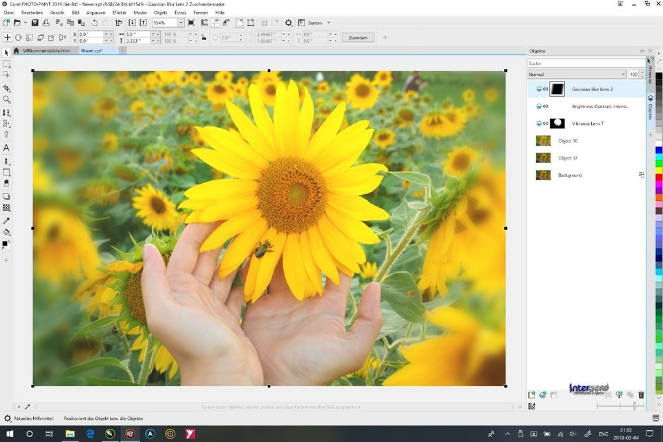 CorelDRAW Graphics Suite 2019 Vollversion Windows PKC Dauerlizenz OVP ...