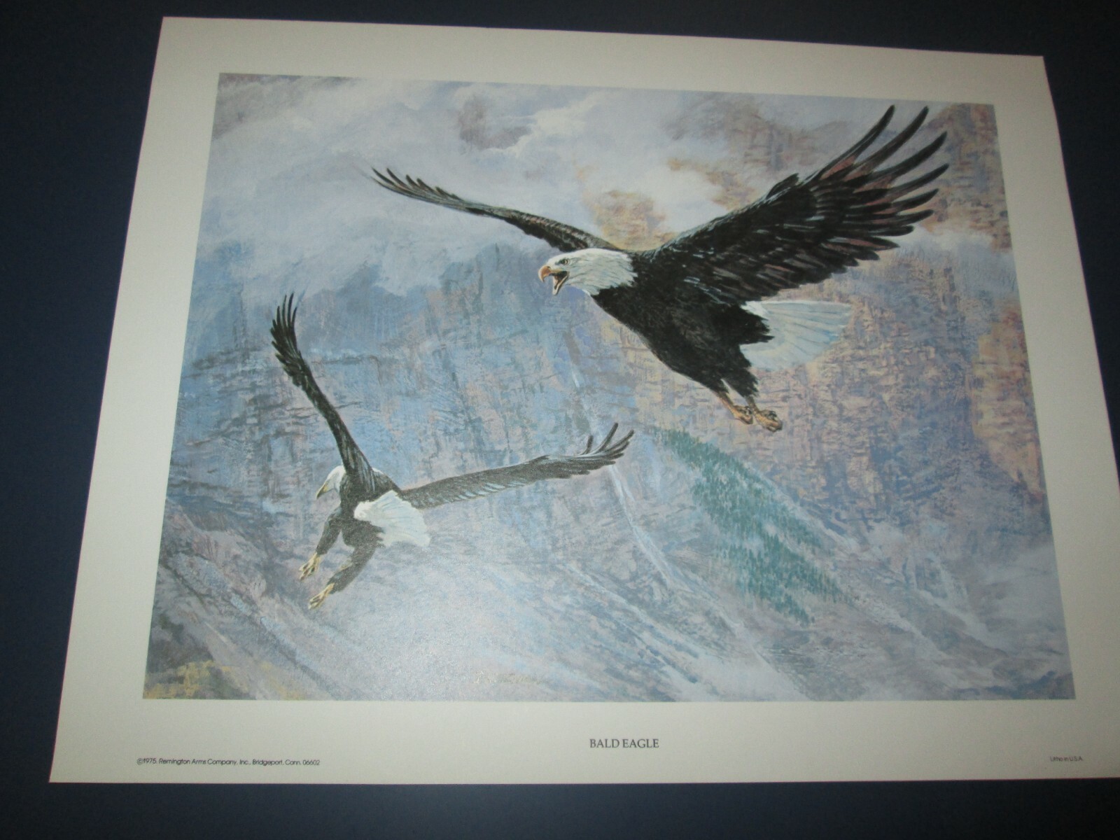 Bald Eagle Tom Beecham Remington Wildlife Art Collection Print 1975 ...