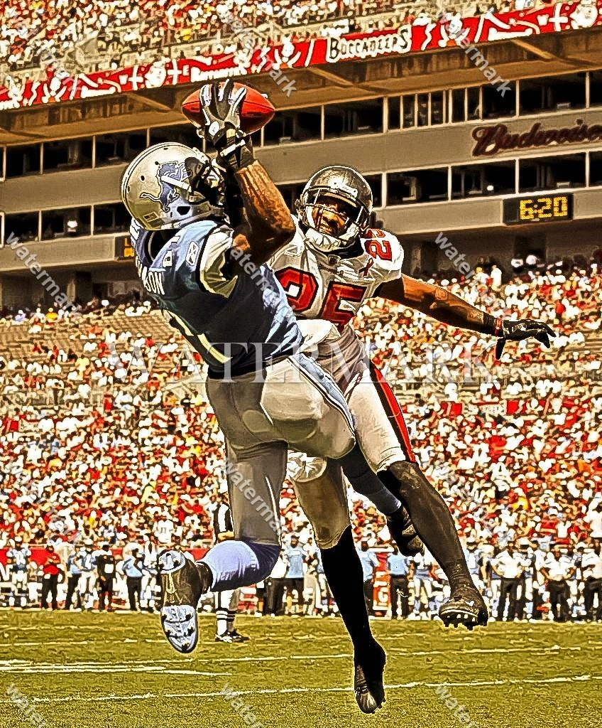 Calvin Johnson Catch