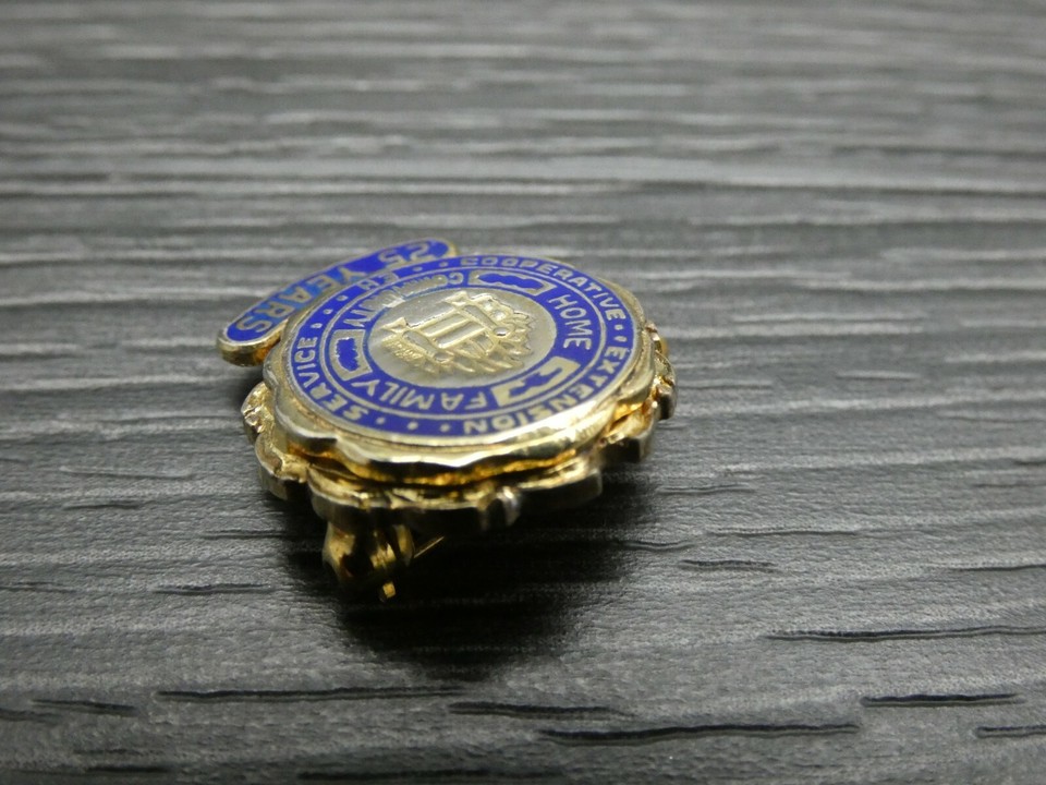 Vintage Sterling Silver Gold Tone EH Home Community Family 25 Year Pin ...