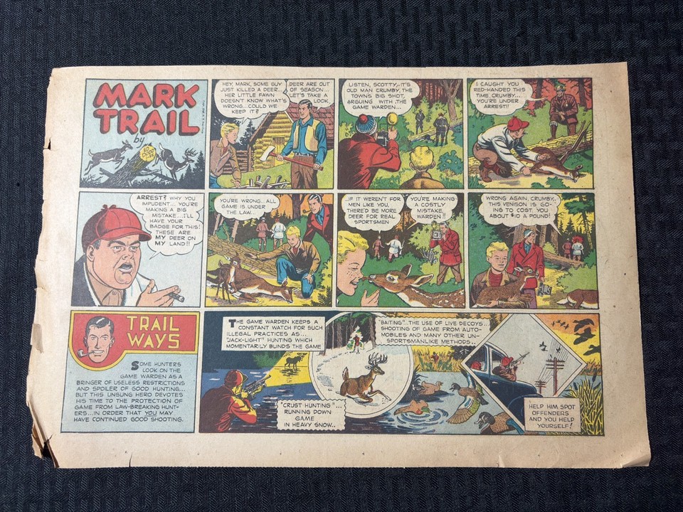 1948 MARK TRAIL by Ed Dodd 15x10.5" Print Ad VG 4.0 Sunday Comic Strip ...