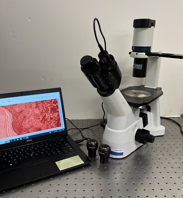 Microscopes - Fisher Scientific Micromaster