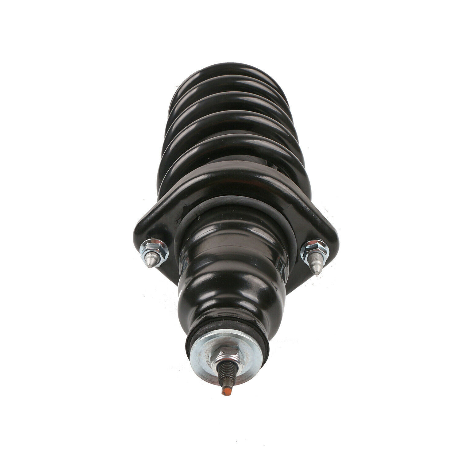 Rear Shock Struts W/ Springs Assy For 2003-2011 Honda Element 2.4L Swap ...