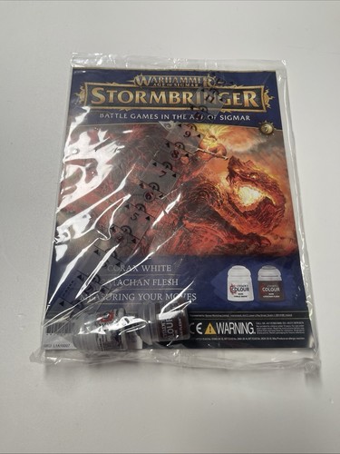 Warhammer Age Of Sigmar Stormbringer Magazine Issue 7 + 2 Citadel ...