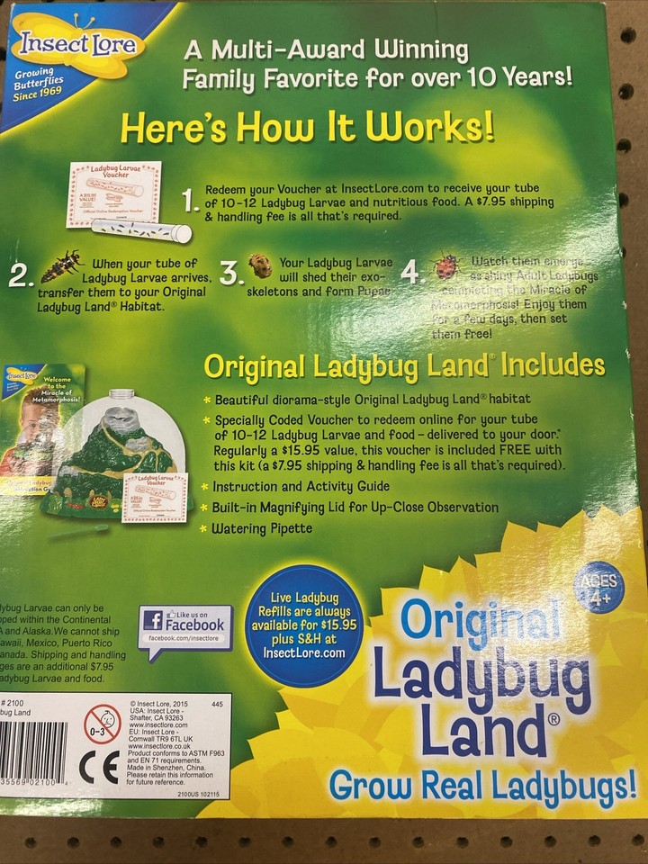 Ladybug Land Live Ladybug Hatching Insect Lore Metamorphosis Terrarium ...