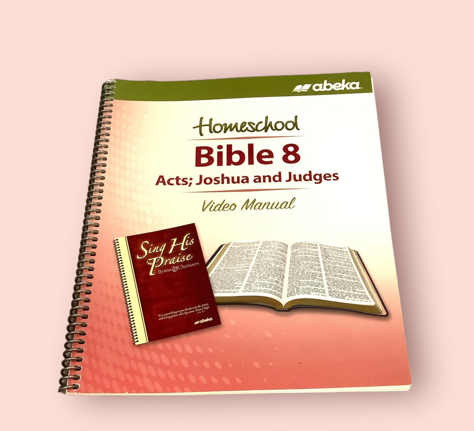 Abeka Homeschool Bible 8 Acts; Joshua and Judges Video Manual | eBay