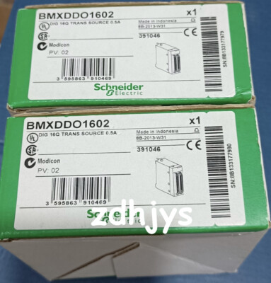 Brand New BMXDDO1602 Schneider Electric Modicon PLC Telemecanique ...