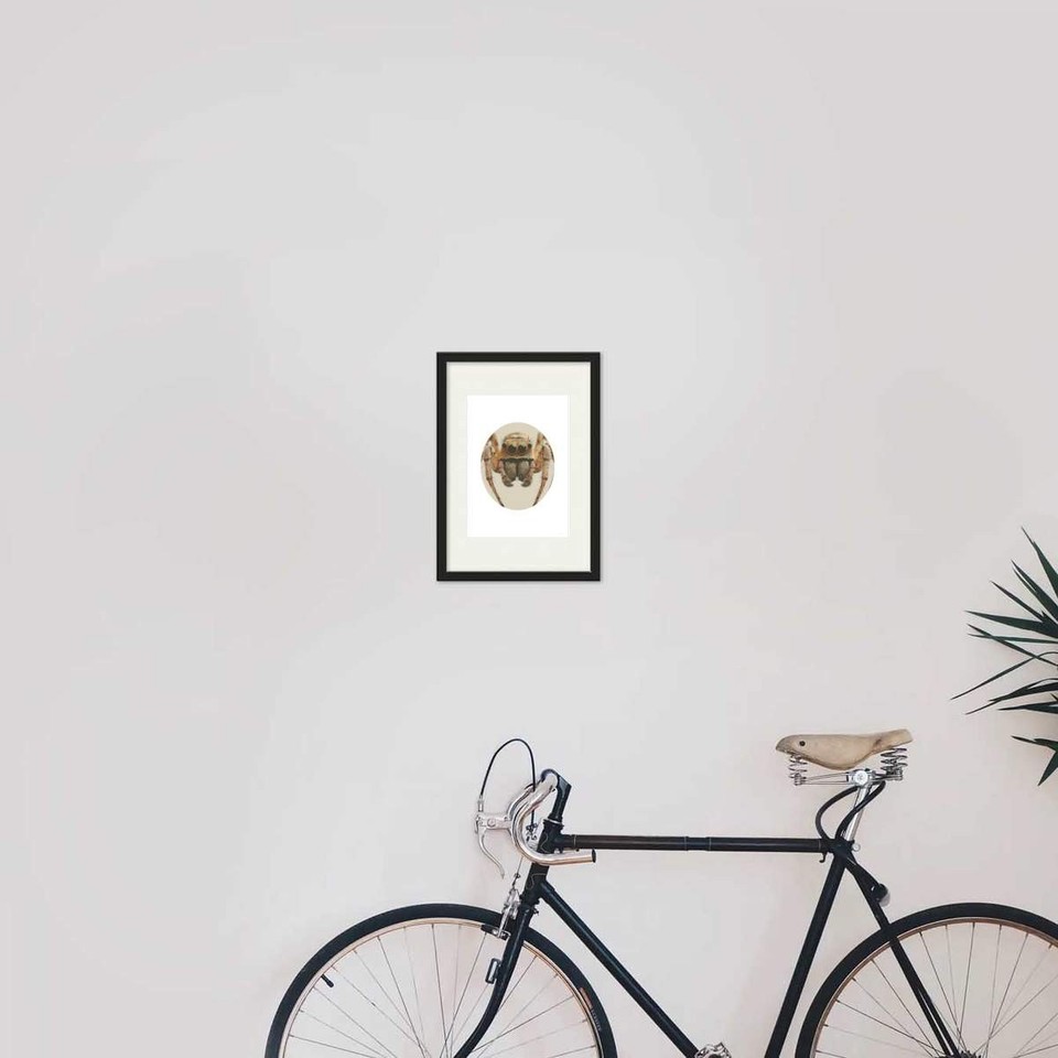 'Cute Spider' Wall Posters / Prints (PP051304) | eBay