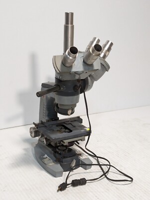 AO Spencer Dual Head Microscope with eyepieces and objective | eBay